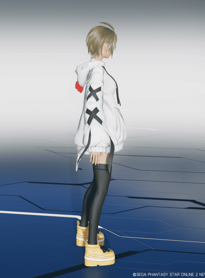 【PSO2NGS】こけぴよぱーかーV2[Se]のカラー・装飾の詳細 | ロボアークスのPSO2NGS攻略情報まとめ