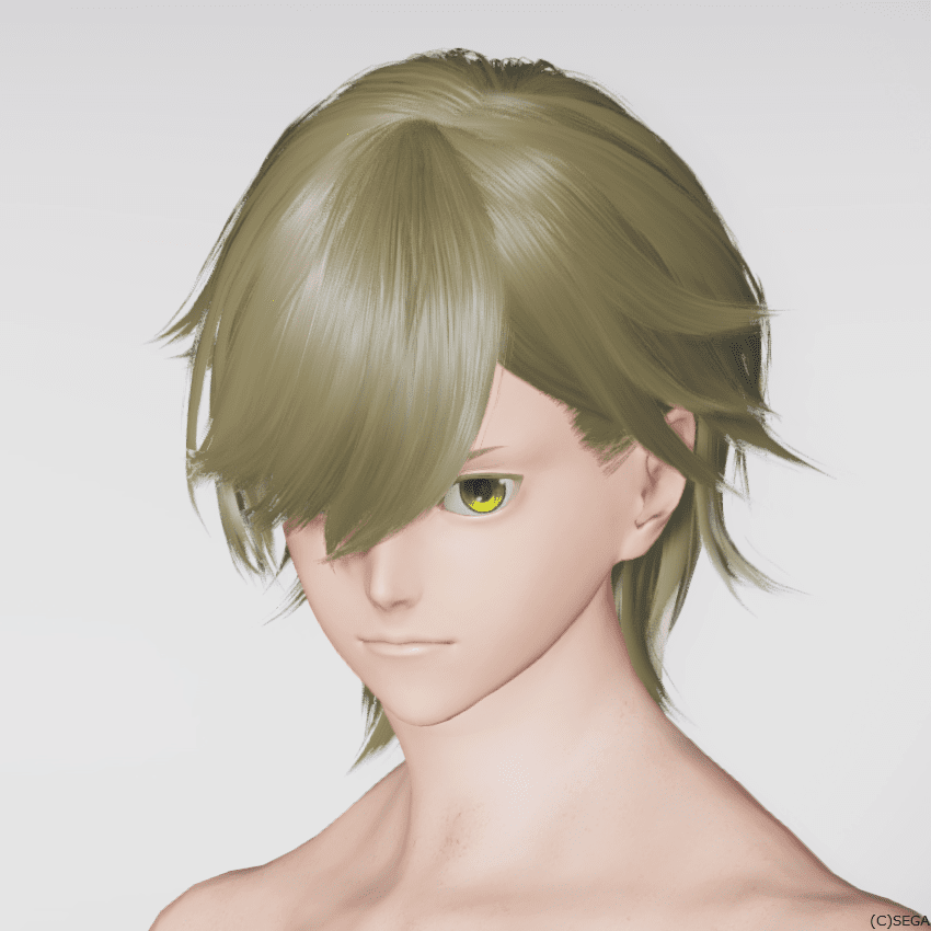 【PSO2NGS】マエストリッツォヘアーの調整、装飾、レビューまとめ | ロボアークスのPSO2NGS攻略情報まとめ