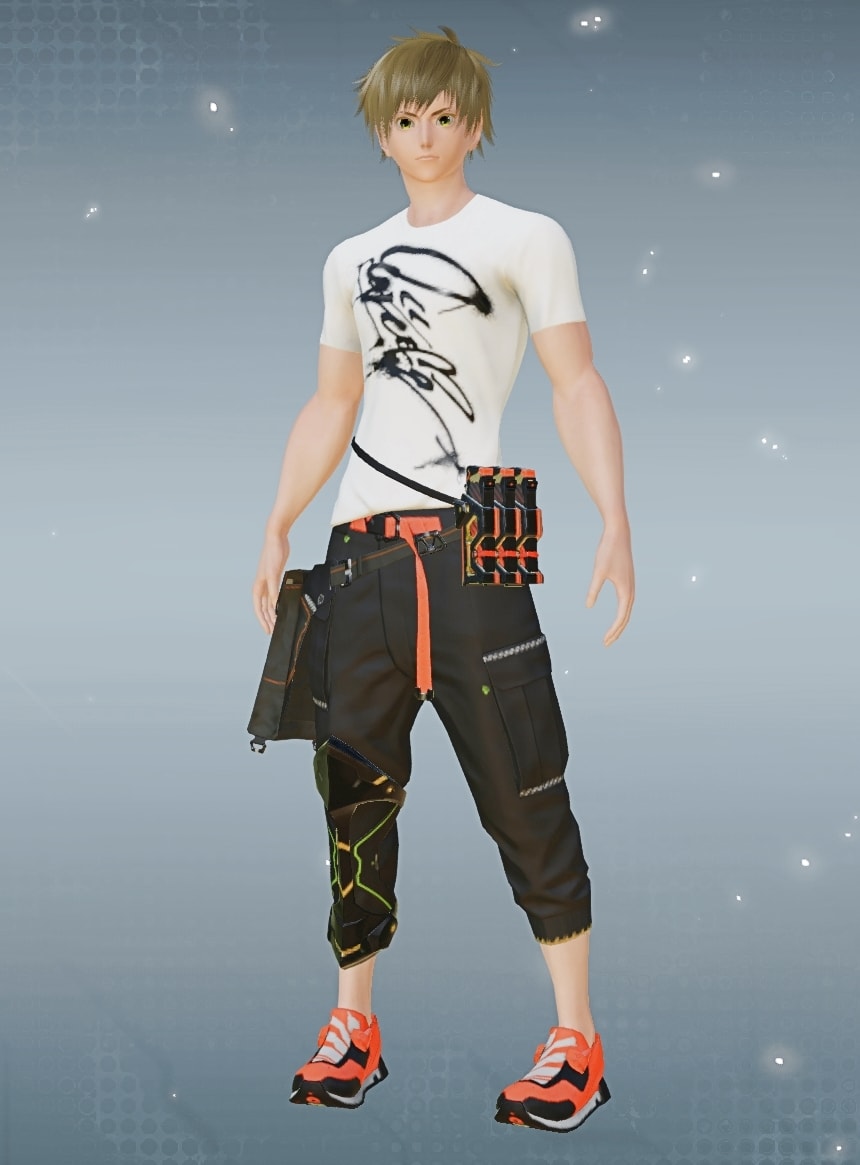 【PSO2NGS】グローバル版の新キービジュアル記念パック2022の一覧アイテムカタログ | ロボアークスのPSO2NGS攻略情報まとめ