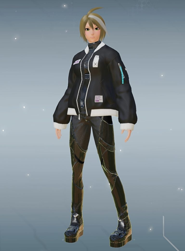 【PSO2NGS】ACスクラッチ「スナッグスタイル」のカタログ一覧 | ロボアークスのPSO2NGS攻略情報まとめ