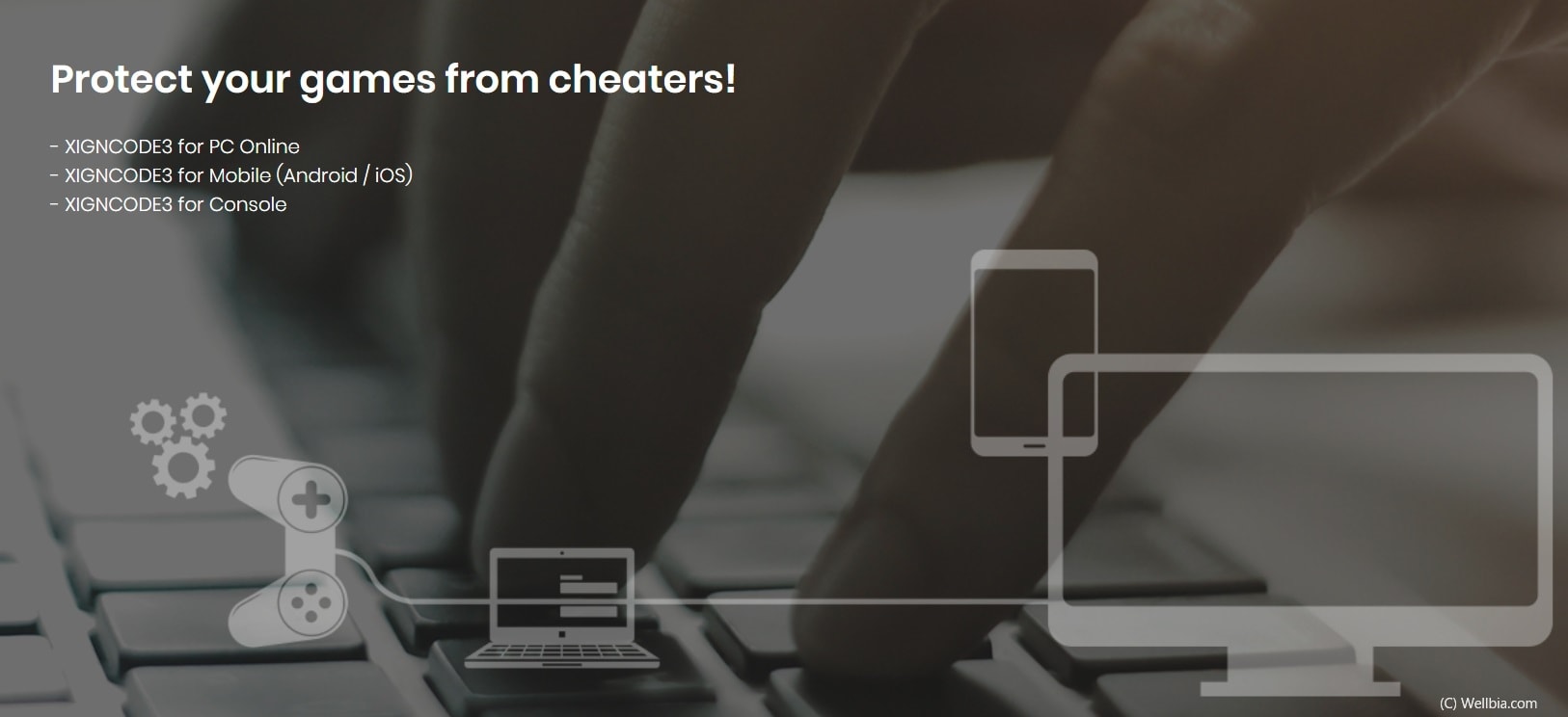 【PSO2NGS】nProとは別のWellbia社製の不正ツール対策プログラム導入される件のまとめ【nPro完全終了】 | ロボアークスの ...