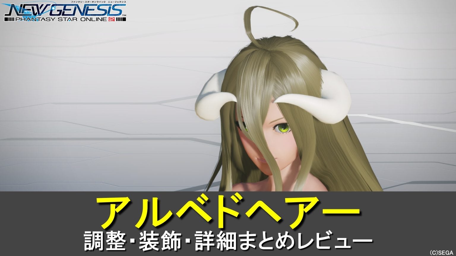 【PSO2NGS】アルベドヘアーの調整、装飾、レビューまとめ | ロボアークスのPSO2NGS攻略情報まとめ