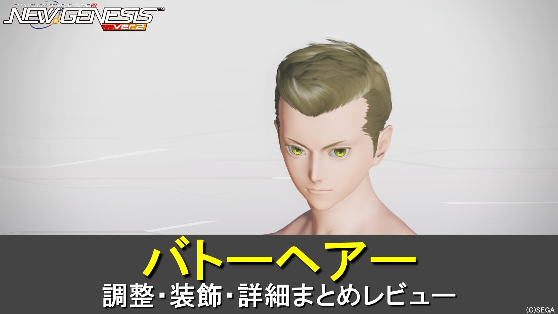【PSO2NGS】バトーヘアーの調整、装飾、レビューまとめ | ロボアークスのPSO2NGS攻略情報まとめ