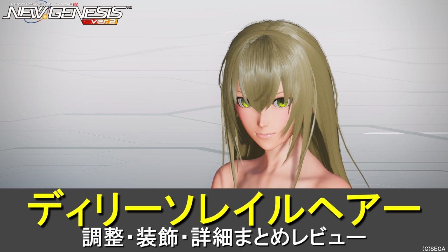 【PSO2NGS】ディリーソレイルヘアーの調整、装飾、レビューまとめ | ロボアークスのPSO2NGS攻略情報まとめ