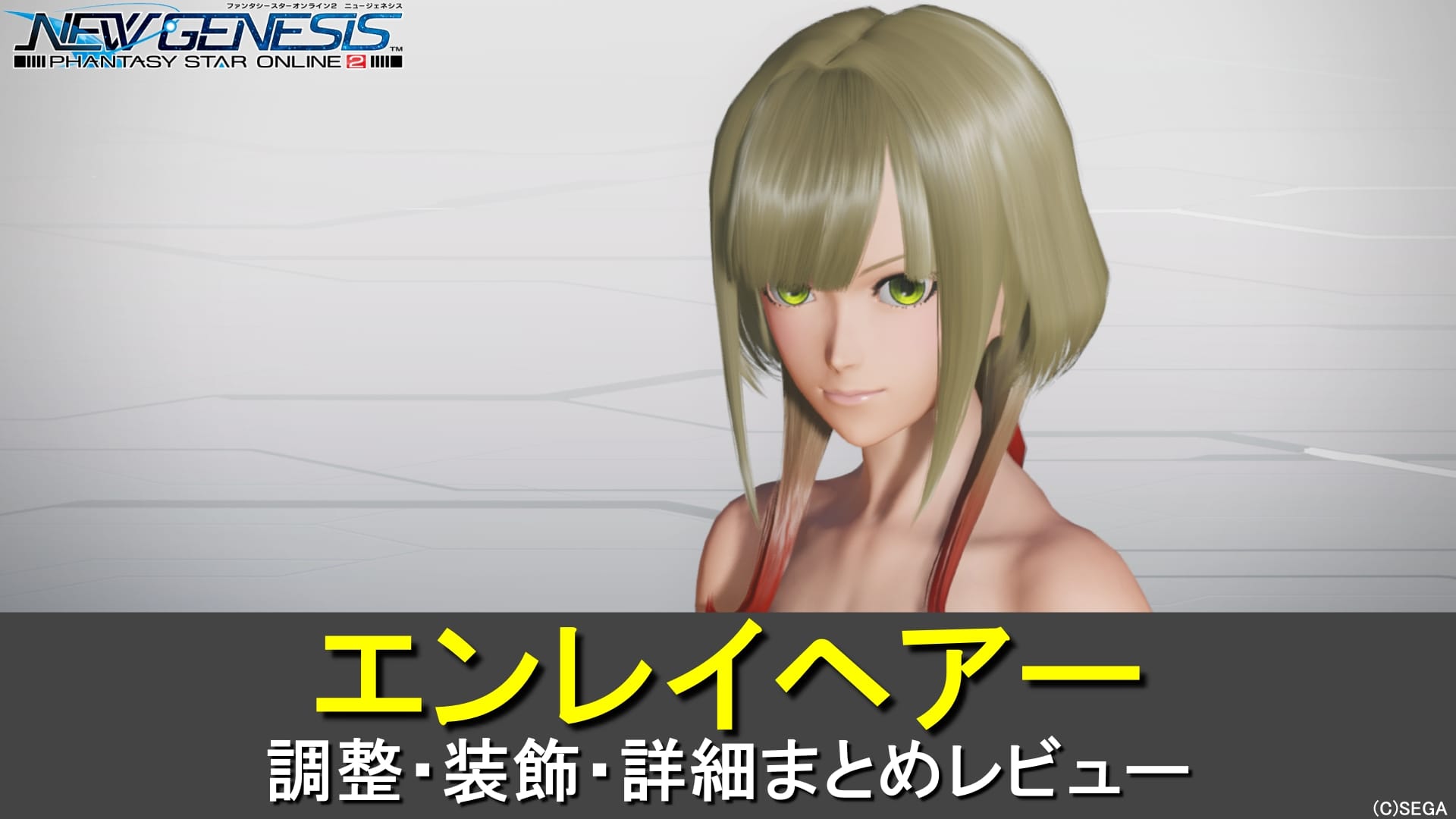 【PSO2NGS】エンレイヘアーの調整、装飾、レビューまとめ | ロボアークスのPSO2NGS攻略情報まとめ