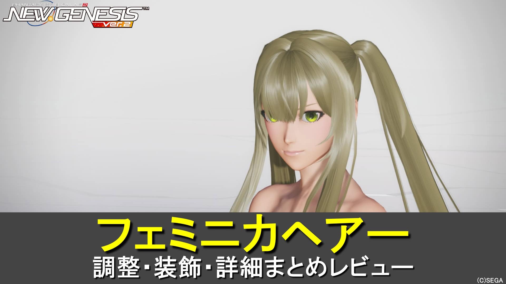 【PSO2NGS】フェミニカヘアーの調整、装飾、レビューまとめ | ロボアークスのPSO2NGS攻略情報まとめ
