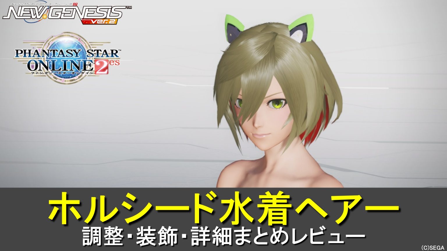 【PSO2NGS】ホルシード水着ヘアーの調整、装飾、レビューまとめ【es水着】 | ロボアークスのPSO2NGS攻略情報まとめ