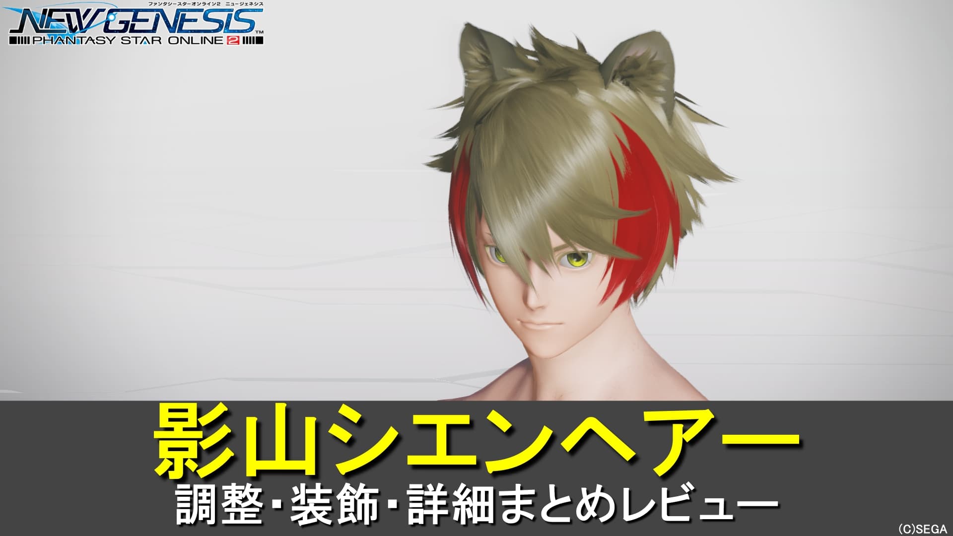 【PSO2NGS】影山シエンヘアーの調整、装飾、レビューまとめ | ロボアークスのPSO2NGS攻略情報まとめ