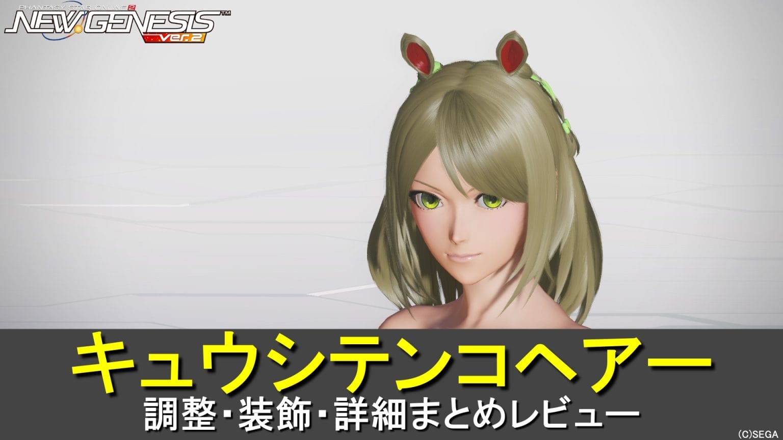 【PSO2NGS】キュウシテンコヘアーの調整、装飾、レビューまとめ | ロボアークスのPSO2NGS攻略情報まとめ