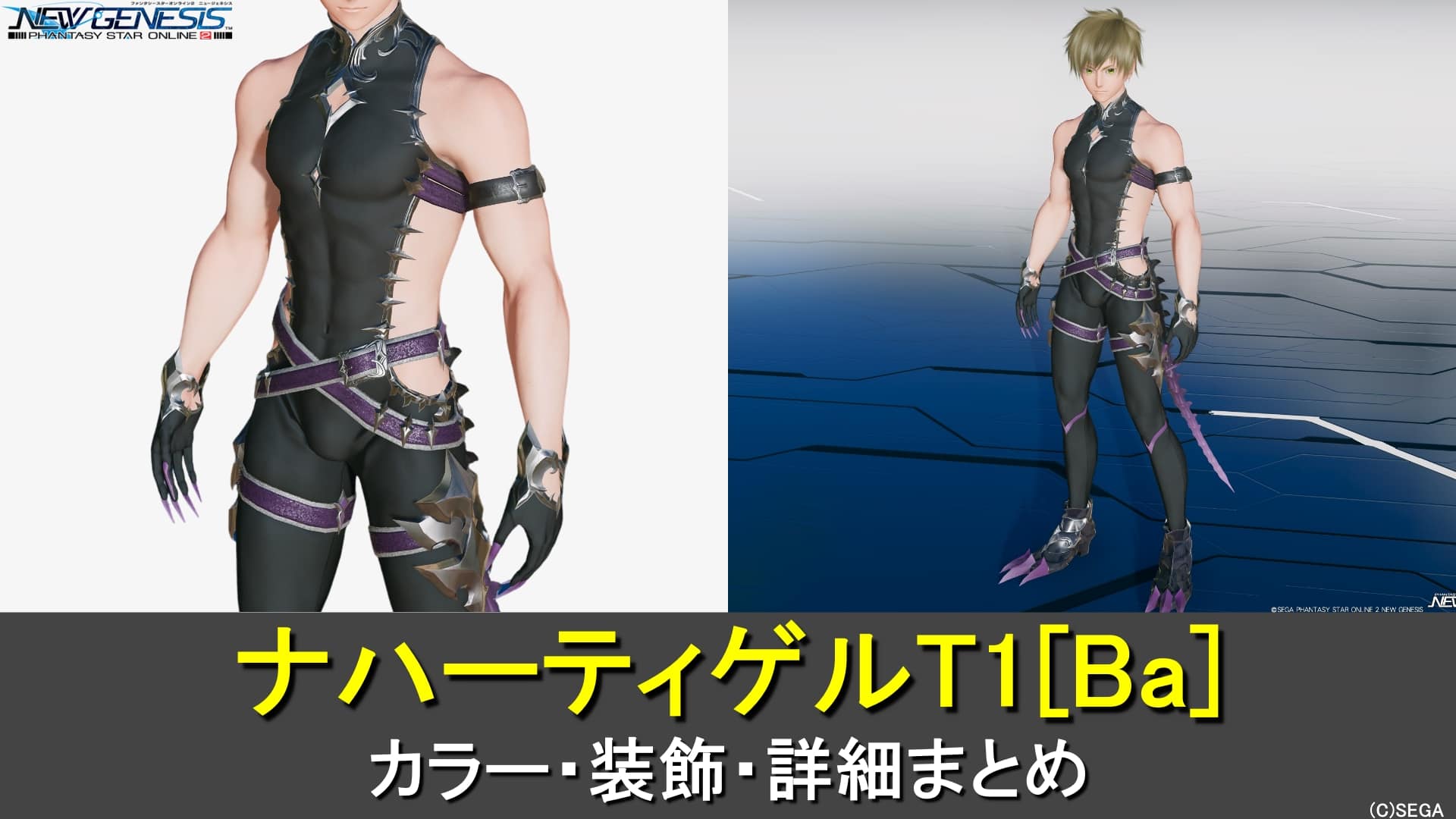 【PSO2NGS】ナハーティゲルT2[Ba]のカラー・装飾の詳細 | ロボアークスのPSO2NGS攻略情報まとめ