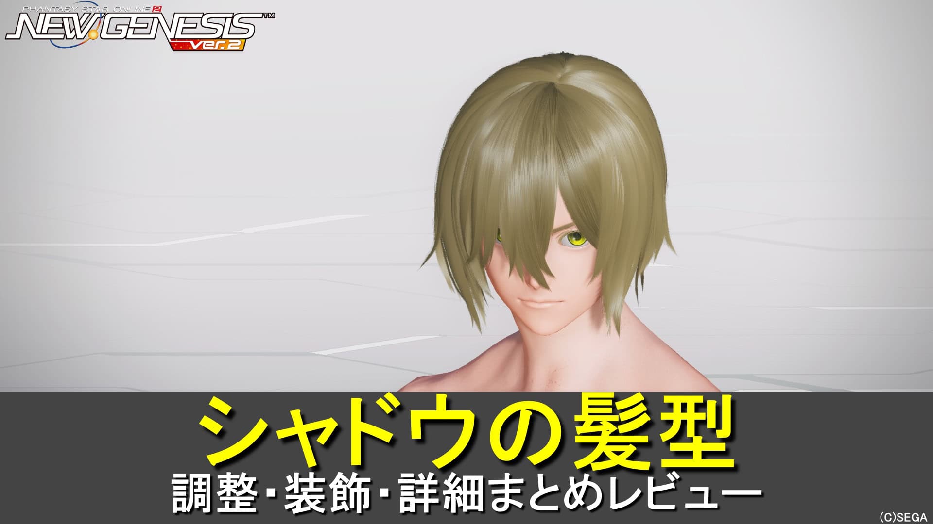 【PSO2NGS】シャドウの髪型の調整、装飾、レビューまとめ【陰実】 | ロボアークスのPSO2NGS攻略情報まとめ