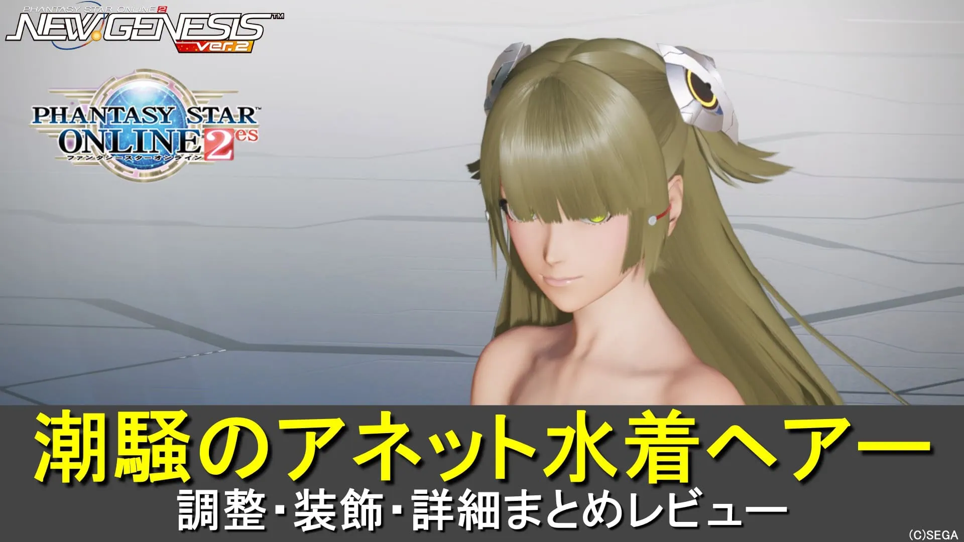 【PSO2:NGS】全アクセサリー(頭部上段)まとめ | ロボアークスのPSO2NGS攻略情報まとめ