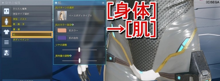 【PSO2:NGS】肌パターンまとめ | ロボアークスのPSO2NGS攻略情報まとめ