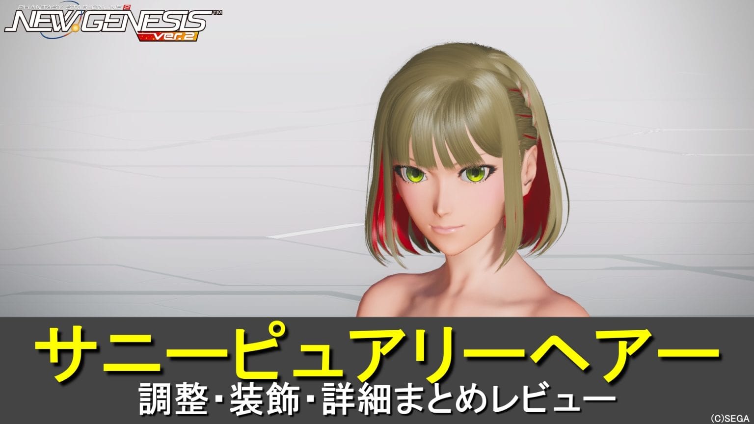 【PSO2NGS】サニーピュアリーヘアーの調整、装飾、レビューまとめ | ロボアークスのPSO2NGS攻略情報まとめ