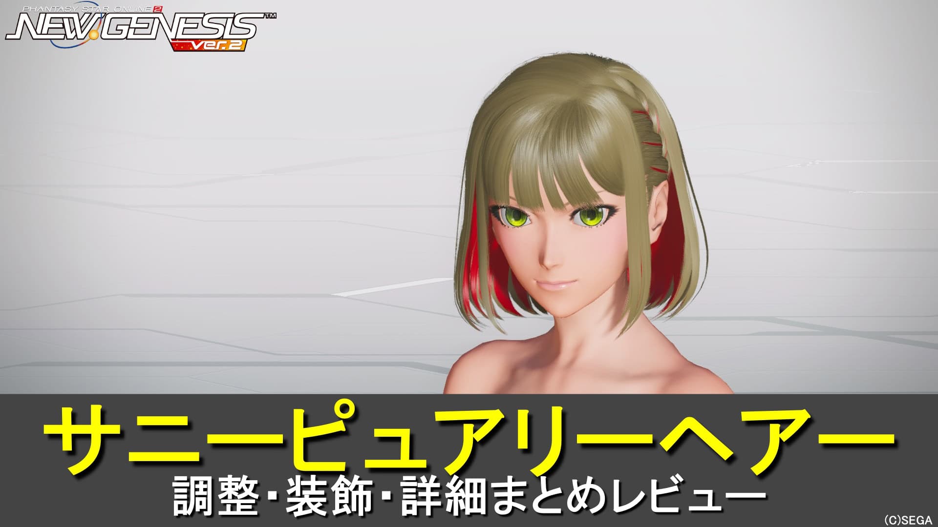 【PSO2NGS】サニーピュアリーヘアーの調整、装飾、レビューまとめ | ロボアークスのPSO2NGS攻略情報まとめ