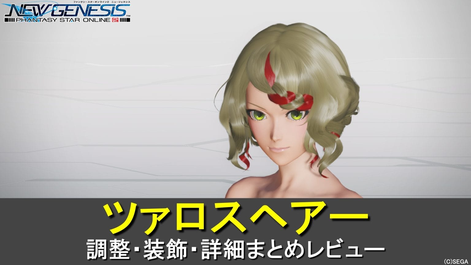 【PSO2NGS】ツァロスヘアーの調整、装飾、レビューまとめ | ロボアークスのPSO2NGS攻略情報まとめ