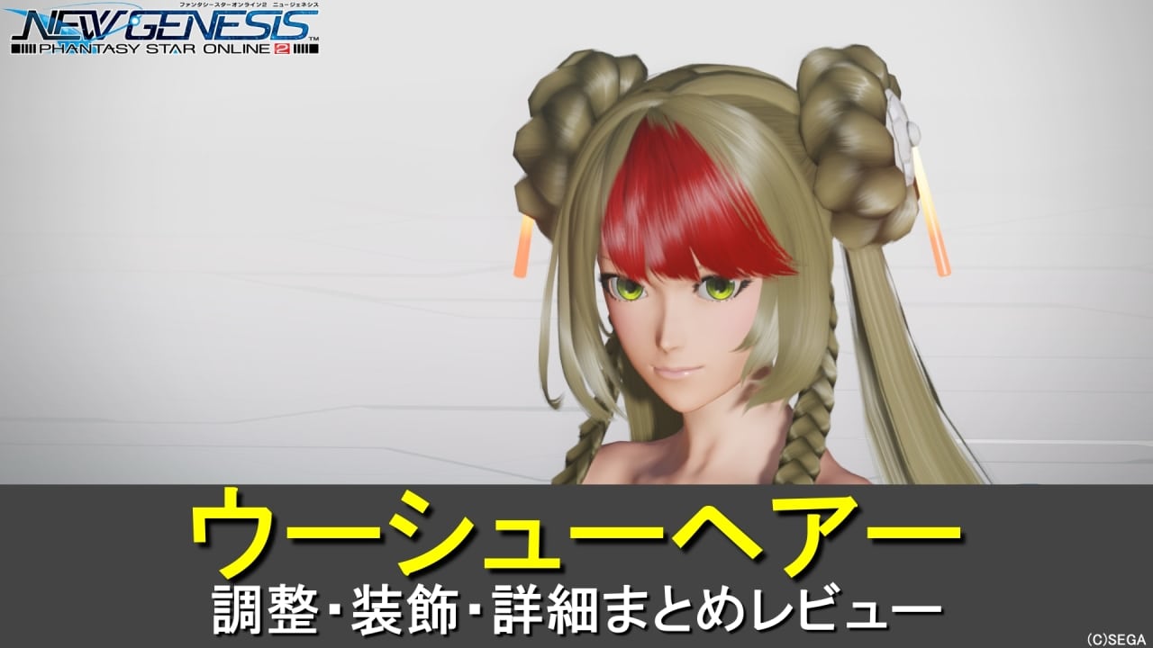 【PSO2NGS】ウーシューヘアーの調整、装飾、レビューまとめ | ロボアークスのPSO2NGS攻略情報まとめ